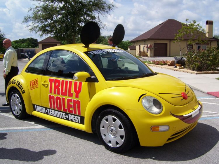 OS MOUSE CARS – Autoentusiastas