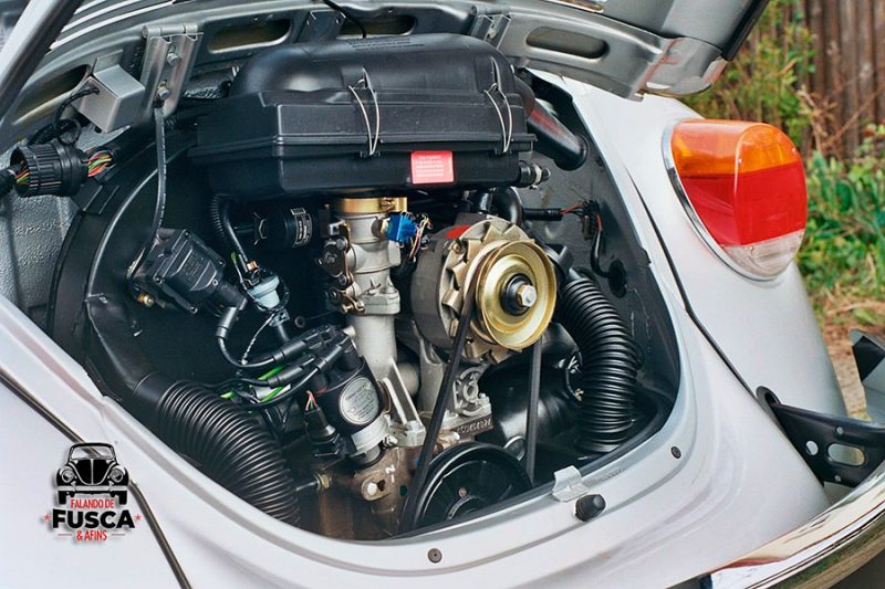 DURANTE ANOS LEVANDO VW VOCHOS DO MÉXICO PARA A EUROPA – Autoentusiastas